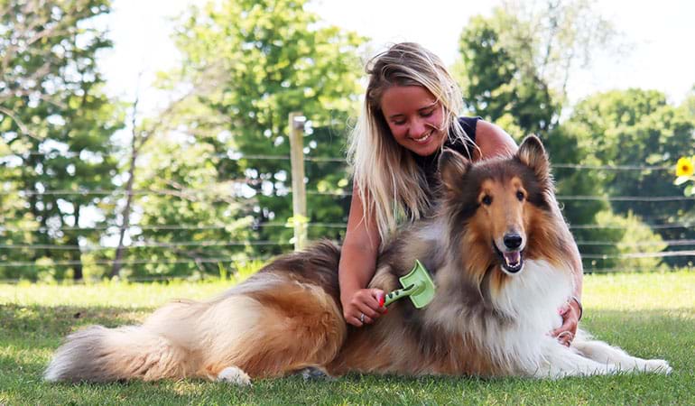 Coastal Pet Products | Coastal Pet Products