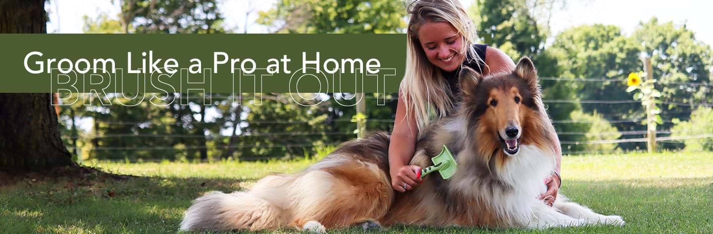 Coastal Pet Products | Coastal Pet Products